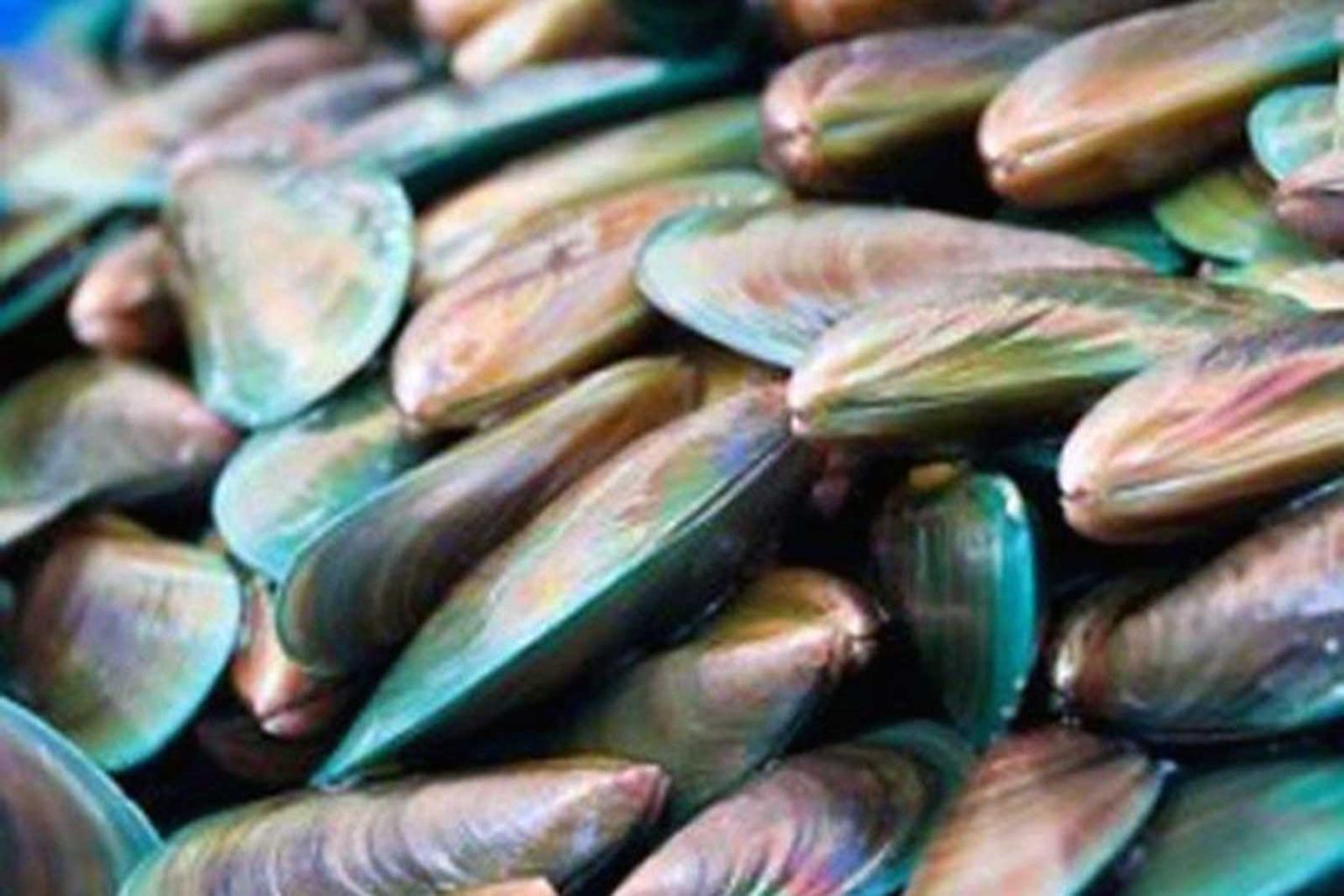 Red tide warning up in three more Western Samar bays - BusinessWorld Online