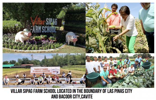 New breed of Filipino farmers - BusinessWorld Online