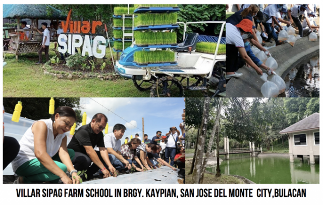 New breed of Filipino farmers - BusinessWorld Online