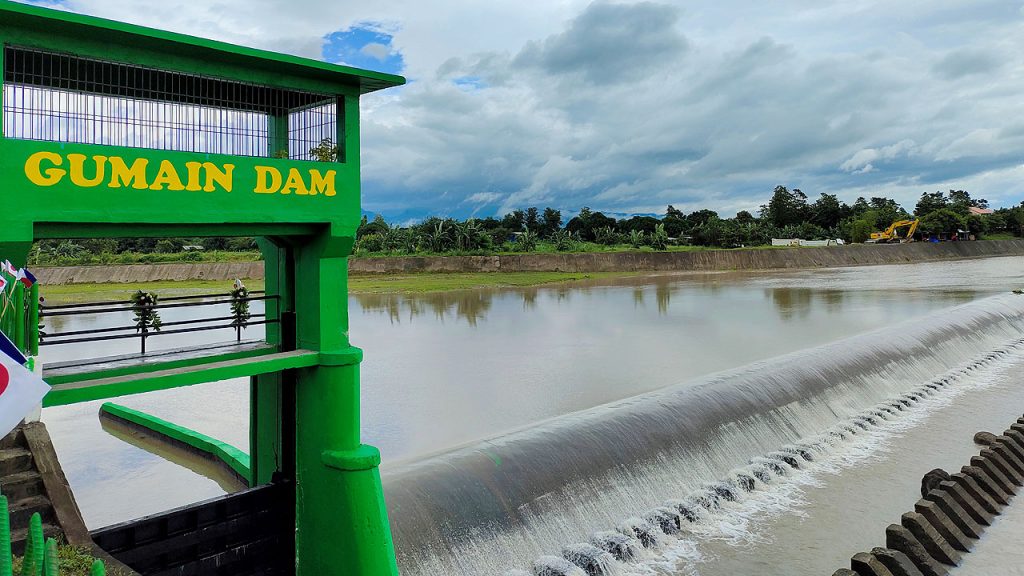 NIA may open 50 irrigation projects to PPP - BusinessWorld Online