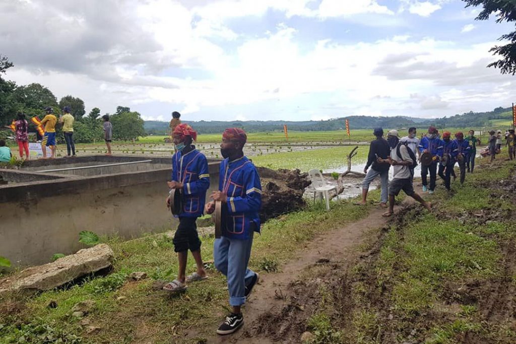 Indigenous community ventures into Cardava banana to expand income from ...
