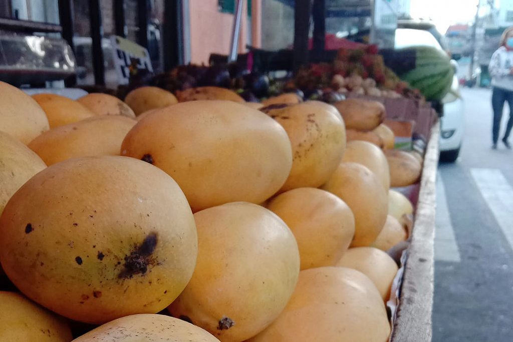 Mango farmers urged to manage tree canopy to raise fruit quality ...
