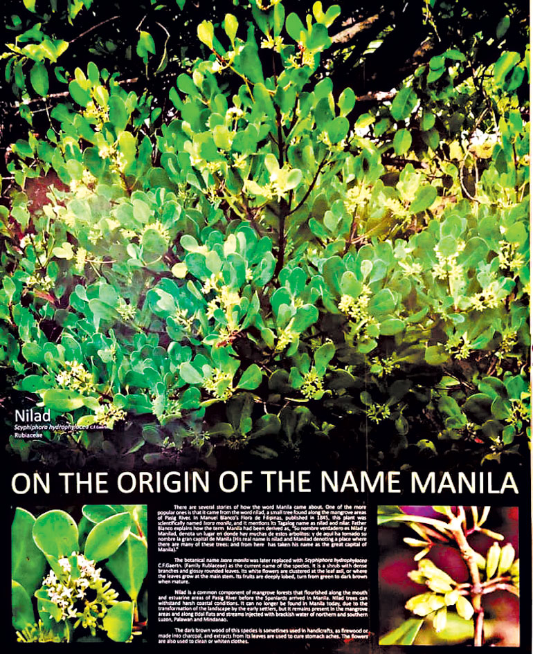 The development journey of the country’s capital - BusinessWorld Online