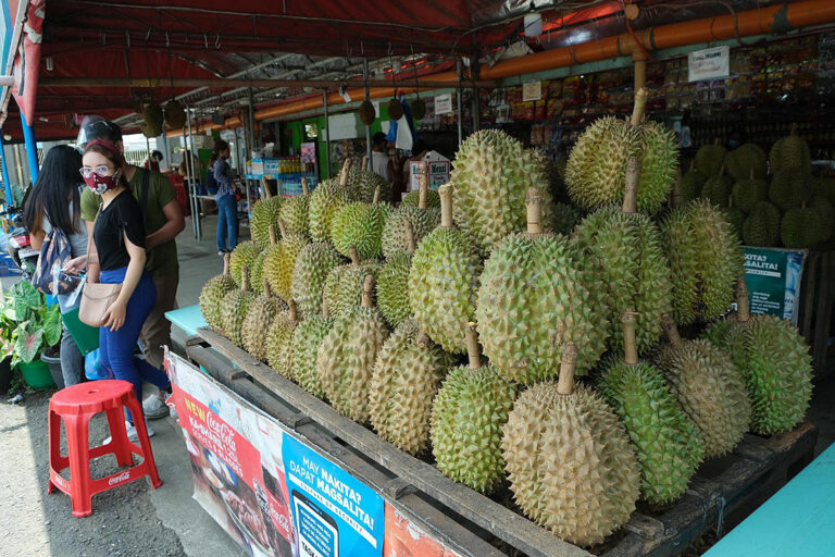 Durian growers see top-5 export potential for their crop ...