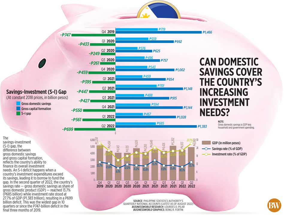 Can domestic savings cover the country’s increasing investment needs ...