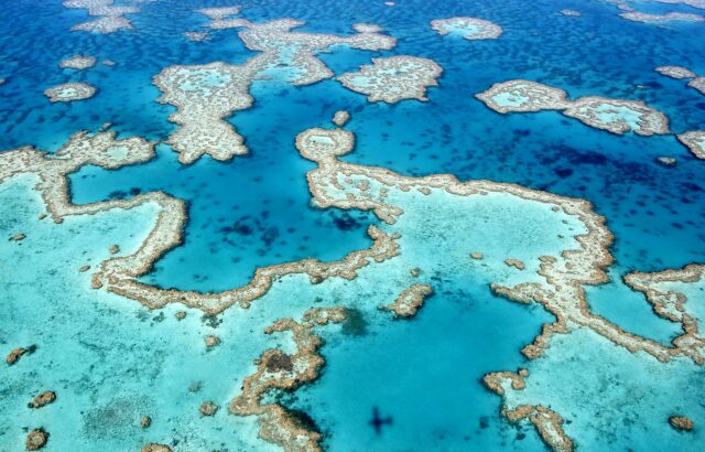 Parts of Australia’s Great Barrier Reef show highest coral cover in 36 ...