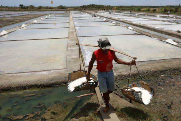 Iodized salt law blamed for decline in PHL output - BusinessWorld Online