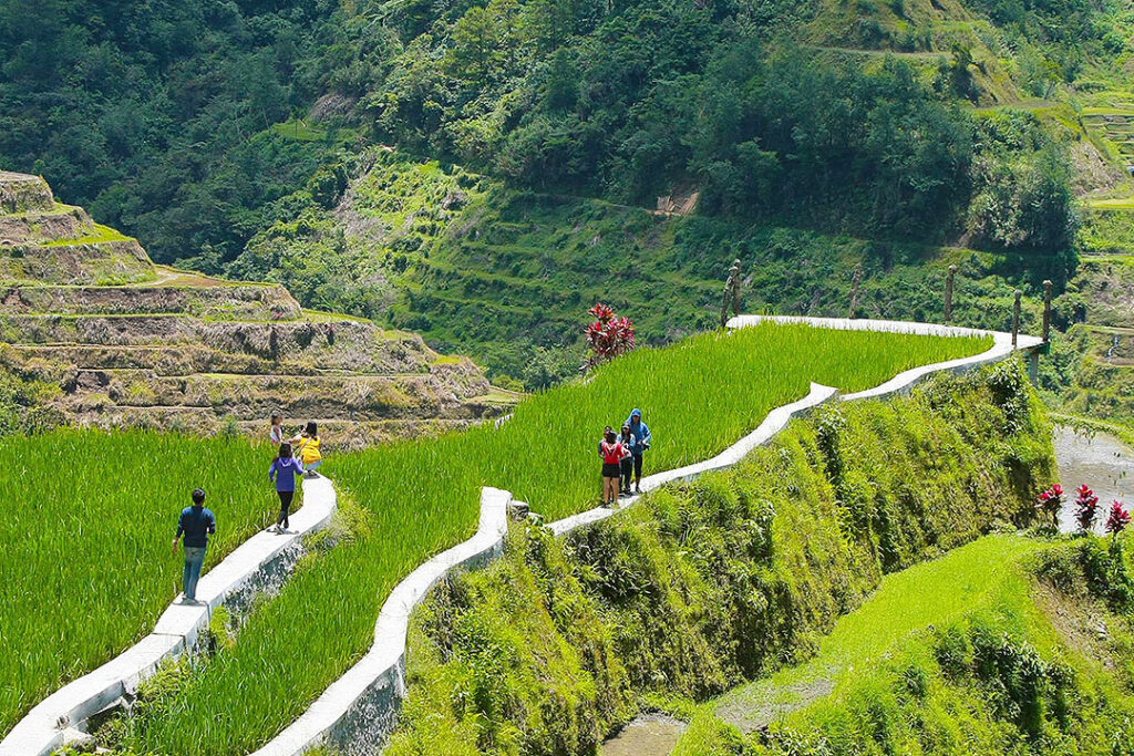 Access roads for upland farms completed in Ifugao province ...