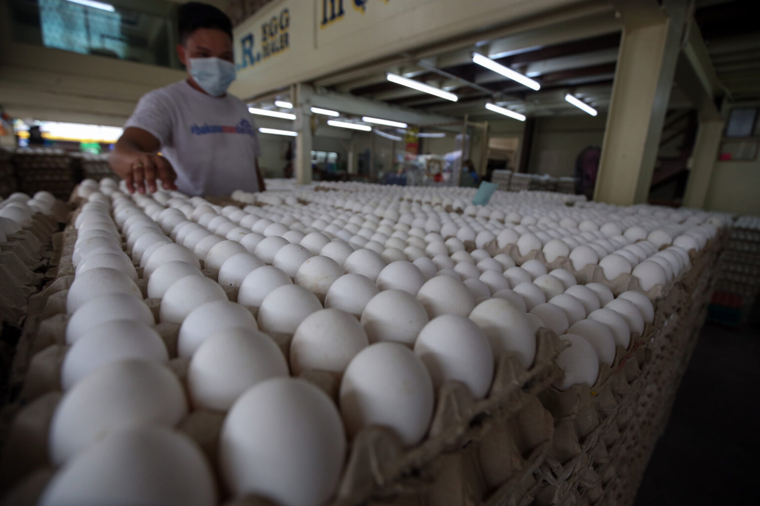Metro Pacific Agro Ventures weighs meat, eggs, aquaculture expansion - BusinessWorld Online