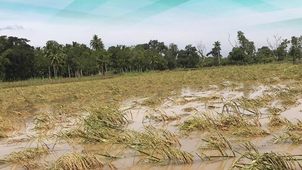 Agricultural damage from recent storms tops P107 million ...