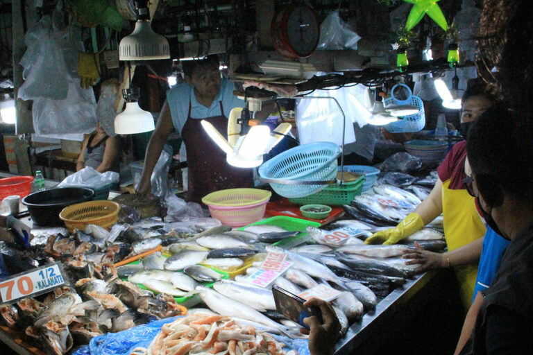 BFAR launches campaign vs sale of unauthorized fish imports in Metro ...