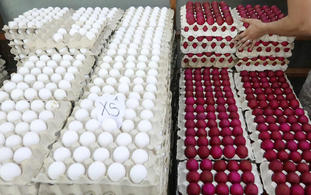 DA to meet egg producers, traders to discuss price hike - BusinessWorld ...