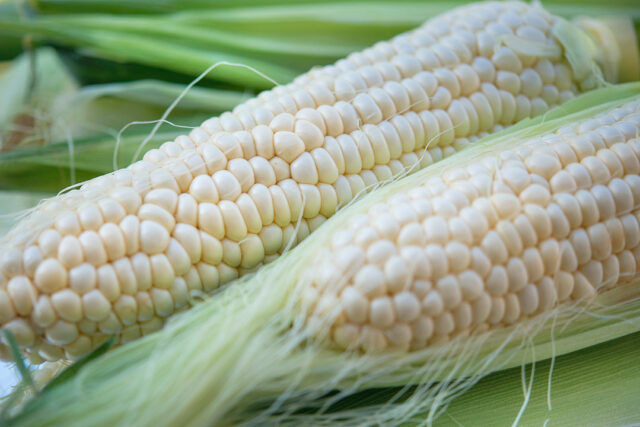 Pilot test of Korean-developed corn mills seen completed by June ...