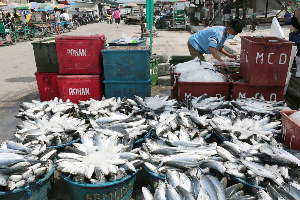 PHL economy seen to expand by 4.1% this year - BusinessWorld Online