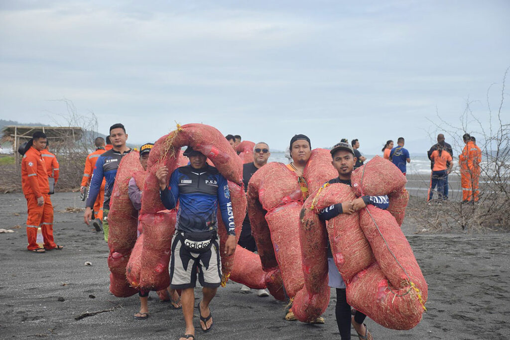 Mindoro oil spill threatens long-term fish supply, key marine ...