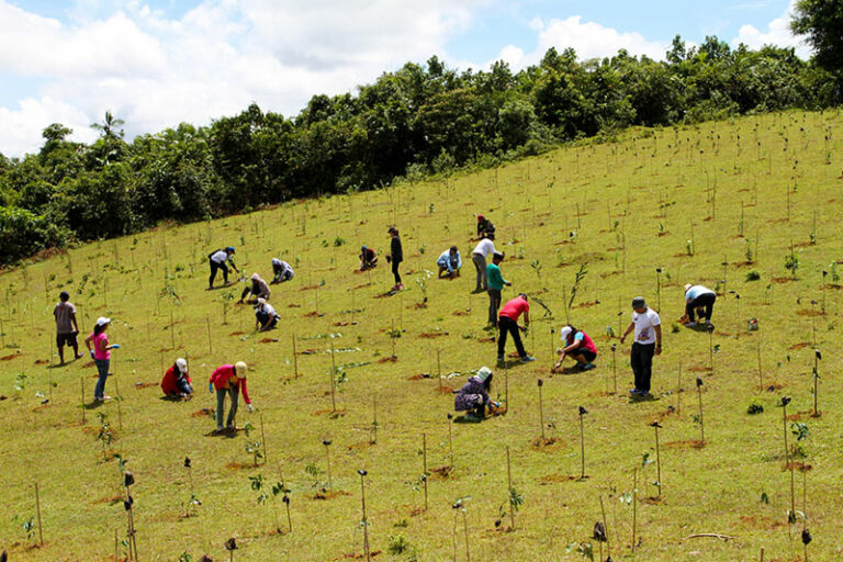 More community participation in greening program pushed - BusinessWorld ...