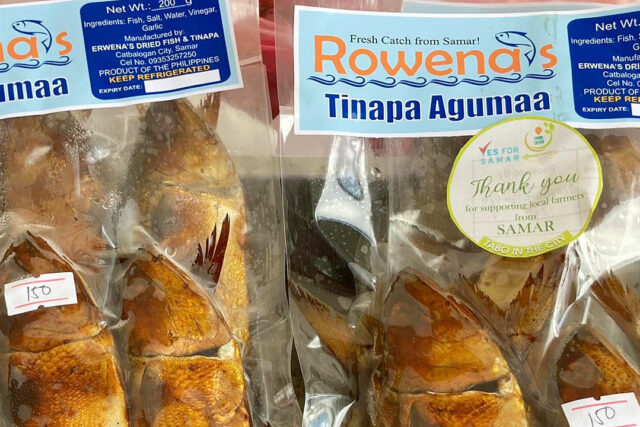 BoI eyes more investments in Samar province - BusinessWorld Online