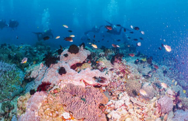 Mindoro oil spill stirs up local friction, confusion in Puerto Galera ...