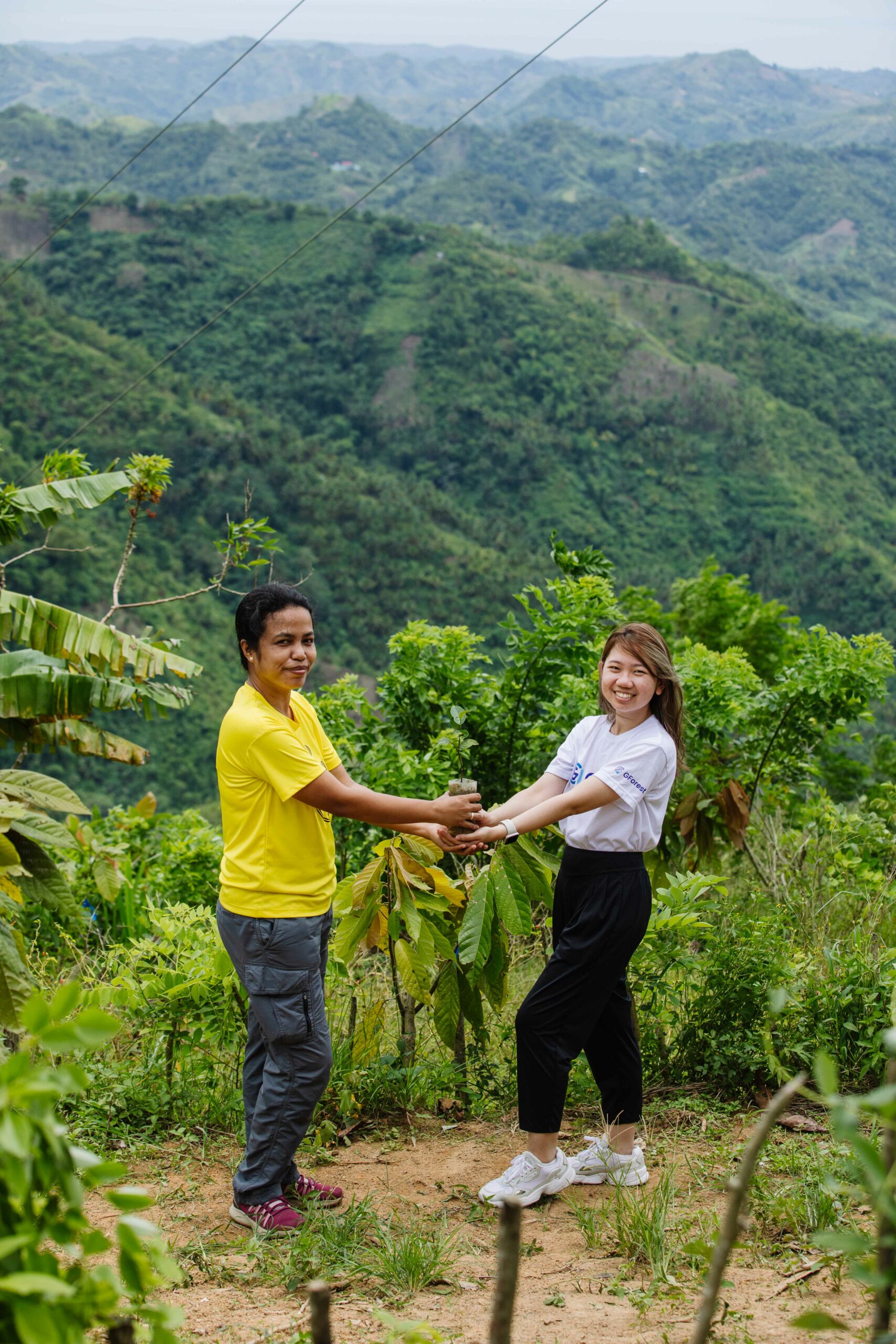 GCash, RAFI continue reforestation initiatives in Cebu - BusinessWorld ...