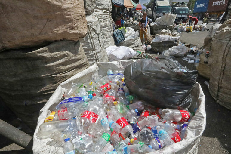 WWF sets plastic waste reduction target of 30% by 2025 - BusinessWorld ...