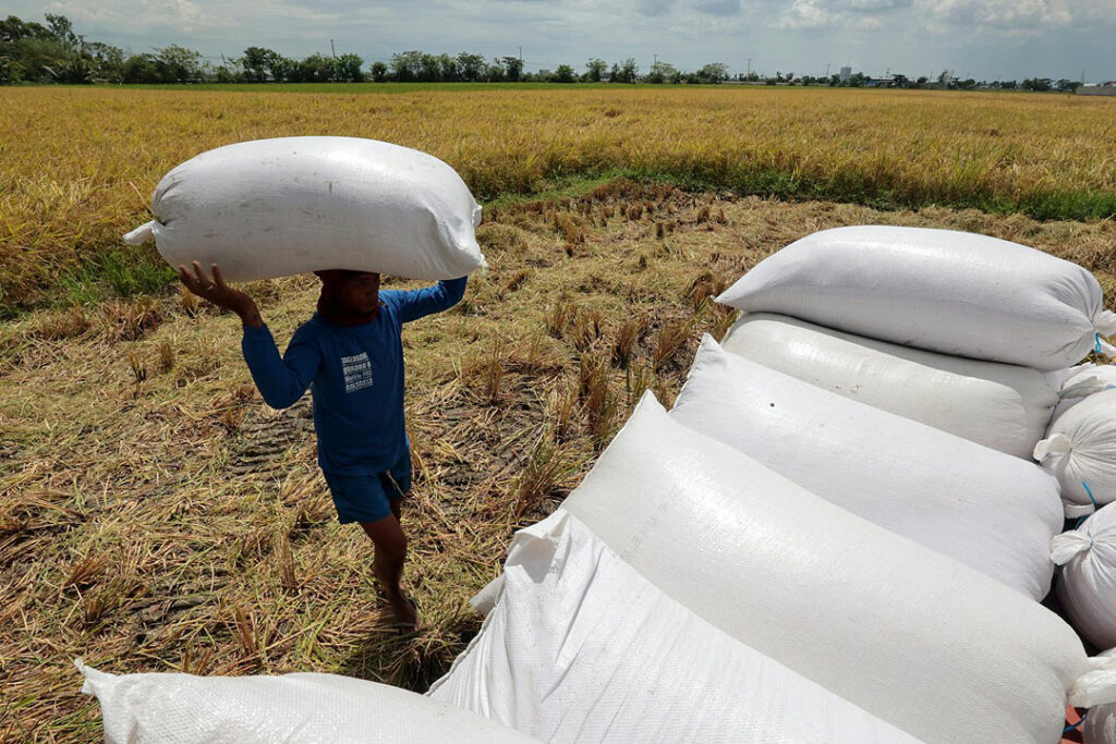 Marcos pushes for rice sector consolidation - BusinessWorld Online