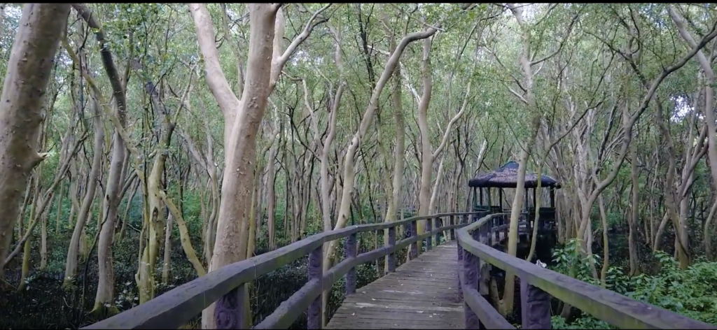 Villar observes 5th anniversary of LPPWP as protected area, celebrates ...