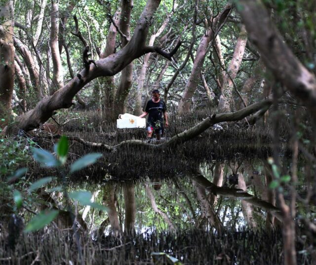 Villar observes 5th anniversary of LPPWP as protected area, celebrates ...