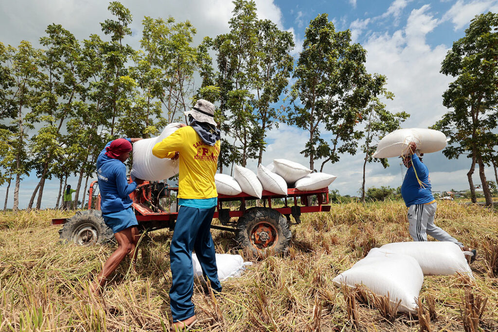 BIR may exempt small farmers from receipt, invoice requirement - BusinessWorld Online