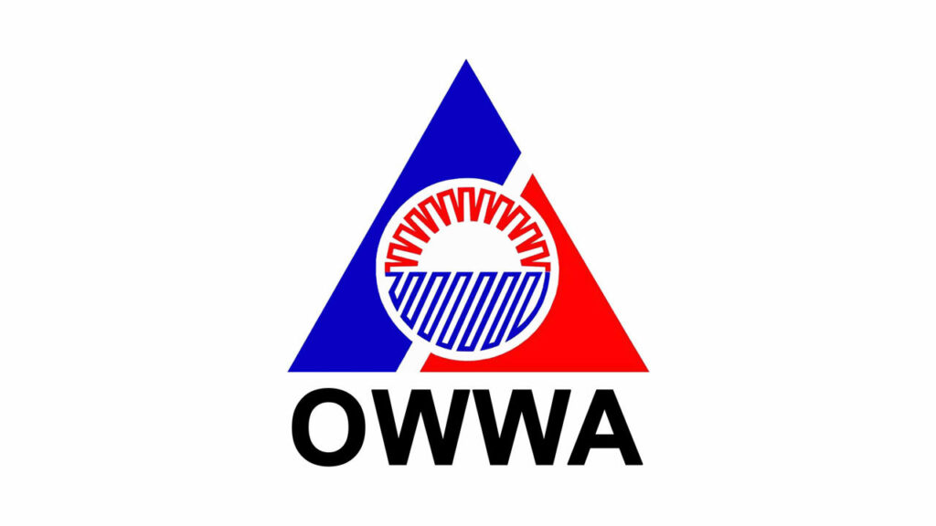 CoA flags OWWA over scholarship program for children of OFWs ...