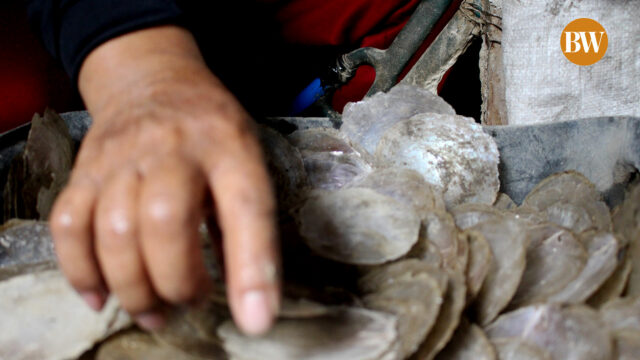 Parol: The symbol of a Filipino christmas - BusinessWorld Online