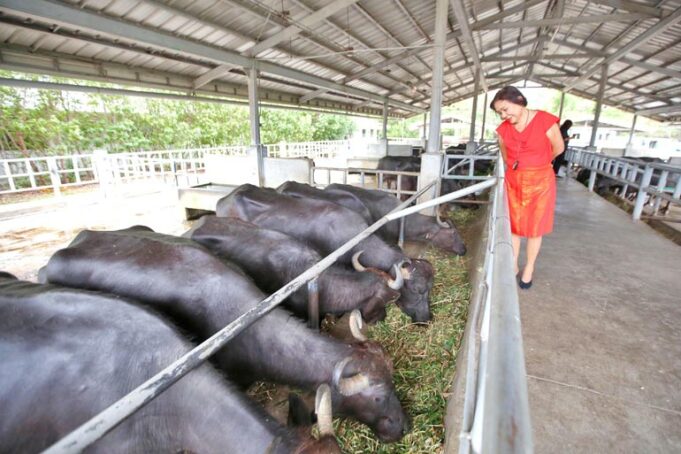 Sen. Cynthia A. Villar: Woman, Advocate, Maverick - BusinessWorld Online