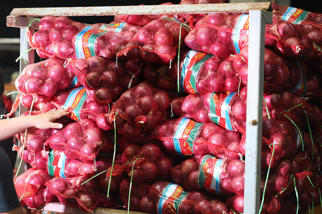 Inspectors to check for onion hoarding - BusinessWorld Online