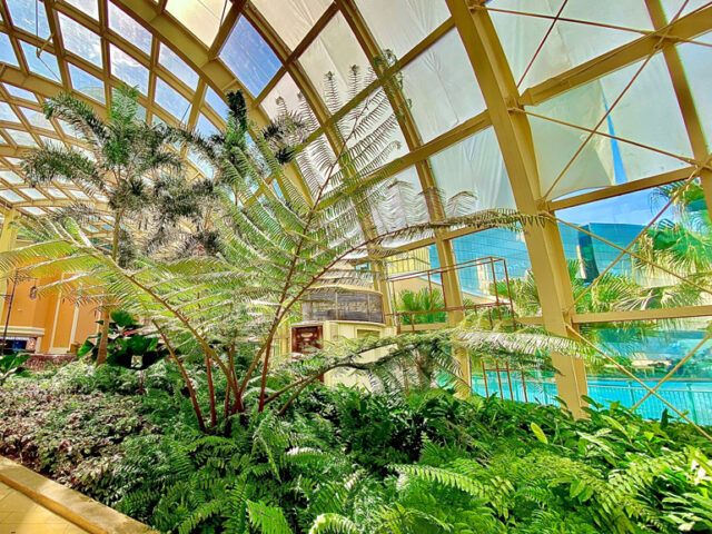 Okada Manila celebrates World Environment Day 2024 with commitment to ...