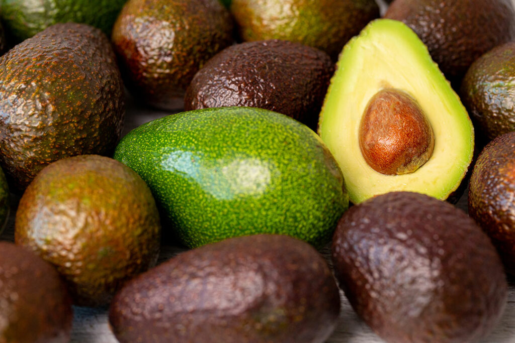 PHL ships first batch of Hass avocados to Japan - BusinessWorld Online