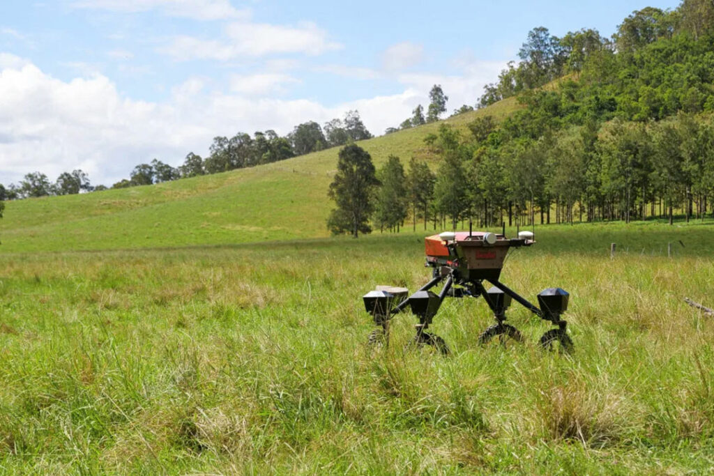 Meet SwagBot, the AI-powered robot cattle herder preventing soil ...