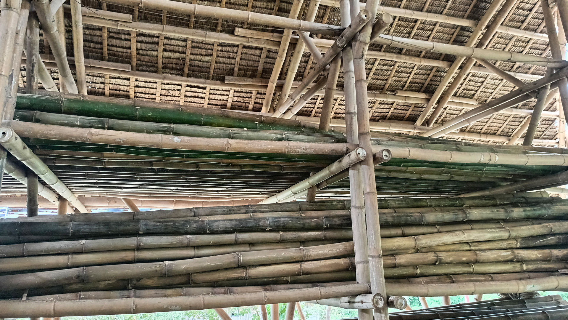 Mainstream use of bamboo in construction urged amid housing shortage and climate change ...